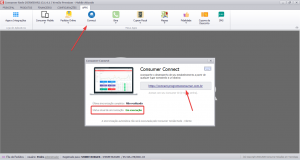 Como acessar o Consumer Connect? – Consumer